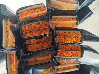 China Flowers Packing 2mm Corrugated Cardboard , Single Wall E C B Flute Board for sale