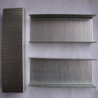 China Galvanized Copper Stapler Pin for sale
