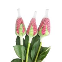 China 1mm 2mm Rose Bud Net Plastic Packaging , LDPE HDPE Flower Bud Net for sale