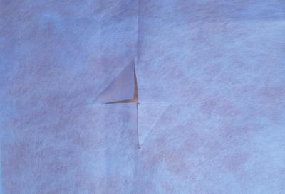 China Printed 30-85Grams Plastic Packing Material , Horticultural Non Woven Flower Sleeves for sale