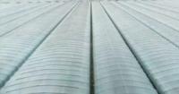 China 6 Mil HDPE Greenhouse Plastic Film Clear Polyethylene Cover Uv Resistant for sale