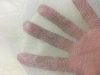 China PP Non Woven Horticultural Ground Cover 350grams Winter Frost Protection Blanket for sale
