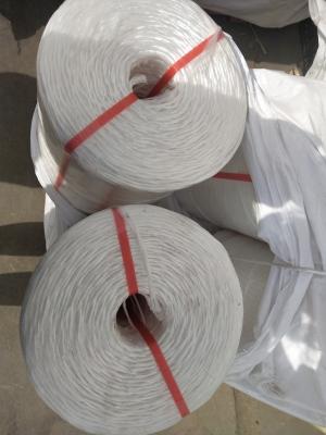 China Plastic PP White Jute Twine , Vegetable Plants 1Ply 2Ply 3 Ply Jute Cord for sale