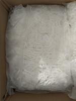 China White SGS PP Plastic Packaging Straps And Buckles Horticultural Use for sale
