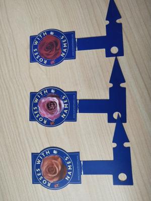 China Horticultural Garden Name Stakes , 300micron UV Resistant Vegetable Garden Markers for sale