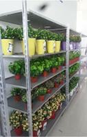 China Heavy Duty Dutch Plant Trolley Powder Coated 1350*565*1900MM for sale