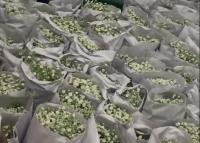 China 30-85Grams Horticultural Packaging Gypsophila Flower Packaging Materials Humidity Paper for sale