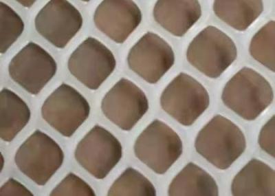 China SGS Plastic Horticultural Net For Flowers Wrapping Width 75cm for sale