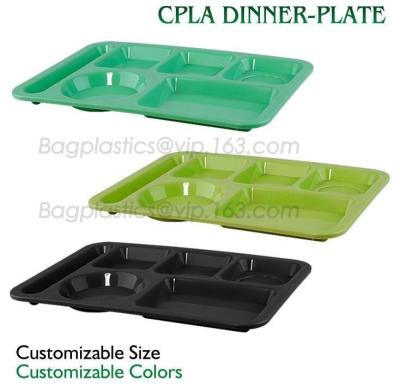 China School use high quality biodegradable lunch plate for students, children plate with lid, Dishwasher Safe Shool Hospital for sale