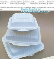 China cornstarch eco Green 16oz Food Container Sugarcane Biodegradable Square Disposable Paper Salad Tray/Bowl bagplastics, pa for sale
