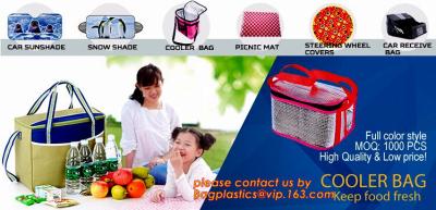 China Top Quality Customized Insulated Lunch Cooler bag,Promotion Portable Wine Cooler Bag,Canvas High for sale