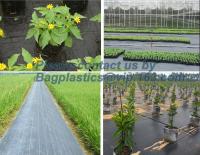 China Water management weeb control pavement preservation courtyard beautify anti insect anti mold seedbed protection vegetati for sale