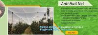 China agriculture in 40g with customizable sizes,100% virgin hdpe anti hail net, Hail Protection Net for Agriculture, Made in for sale