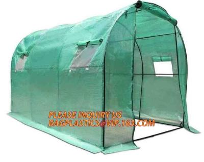 China Indoor 5'x5' hydroponic grow tent kits Mylar grow tent 600D gardening green house Led complete grow tent kits, BAGEASE, for sale