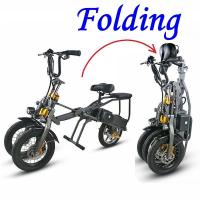 China JX003 Three Wheel Electric Scooter ,48V 8AH Portable 3 Wheel Electric Scooter for sale