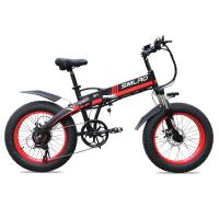 China 6061Alu 20 Inch Folding Electric Bike 31MPH With 1000W Motor for sale