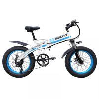 China 6061Alu 20 Inch Folding Electric Bike 31MPH With 1000W Motor for sale