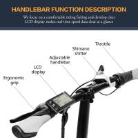 China Lankeleisi 20 Inch Folding Electric Bike X2000 Plus Fat Tire Ebike for sale