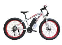 China Xdc600 26 Inch Fat Tire Electric Bike SHIMANO TZ50 Reared 26KG for sale