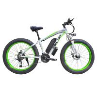 China XDC600 Fat Tire Electric Mountain Bike 48V With Mechanical Disc Brake for sale