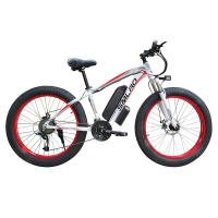 China XDC600 Fat Tire Electric Mountain Bike 48V With Mechanical Disc Brake for sale