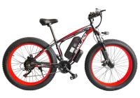 China XDC600 Fat Tire Electric Mountain Bike 48V With Mechanical Disc Brake for sale