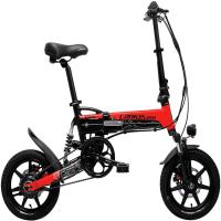 China LANKELEISI G100 14 Inch Folding Electric Bike With 70-80Nm Torque for sale