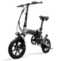 China LANKELEISI G100 14 Inch Folding Electric Bike With 70-80Nm Torque for sale