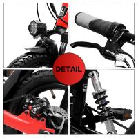 China LANKELEISI G100 14 Inch Folding Electric Bike With 70-80Nm Torque for sale