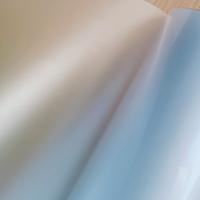 China Environmentally Friendly Optical Clear Vinyl Graphics PET Self Adhesive Permanent for sale