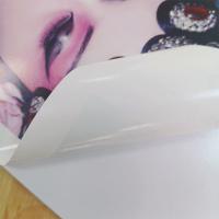 China Aqueous Printable Adhesive Vinyl Clear White Advertising Inkjet Printer On Vinyl for sale