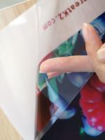 China Matte Self Adhesive Transparent Window Vinyl Digital Printing Decorative for sale