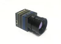 China OEM Night Vision Infrared Thermal Imaging Camera Module For Surveillance Detection for sale