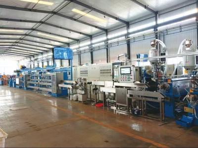 China PV Extrusion Production Line With PLC Control System Single Screw Twin Screw 50-1000kg/H for sale