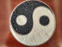 China Customized TEEE Material ；Thermoplastic Polyether Ester Elastomer ；UV Resistant for sale