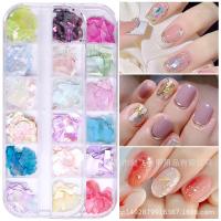 China Charm Nail DIY Accessories Multi Shape 3D Crystal Shell Stone For Nail Design Rhinestones for sale