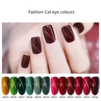 China 15g Cat Eyes Gel Polish UV LED Hard Nail Lamp Gel OEM 15ml/Bottle for End Customers for sale