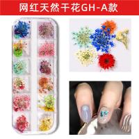 China 12 Colors Nail Dry Flower Set, Big Nail Art Dry Flower Decoration for sale