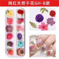 China 12 Colors Nail Dry Flower Set, Big Nail Art Dry Flower Decoration for sale