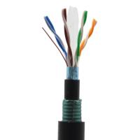 China Armored Outdoor Shielded CAT6 Ethernet Cable Antirat Bite Network Cord for sale