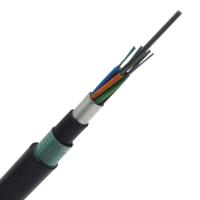 China 12 24 48 96 144 Core Underground Double Armoured Fiber Optic Cable GYTA53 GYFTA53 for sale