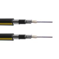 China Double Jacket Outdoor Direct Burial 12Core To 144 Cores GYXTW53 Armored Fiber Optic Cable for sale