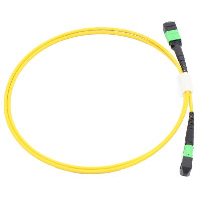 China FTTH MPO Patch Cord 8 12 24 Core Om3 Om4 Fiber Optic MTP Cable Male Female for Indoor Outdoor for sale