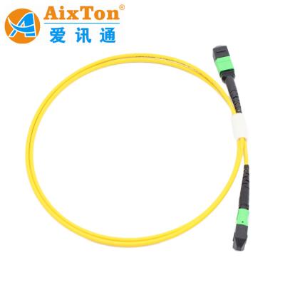 China LC OM MTP MPO Fiber Optic Patch Cord 12F MPO-LC PC MPO Fan Out 0.9Mm Patch Cords for sale
