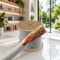 China Multi-Pairs Cat3 Telephone Cable - Changbao Indoor Outdoor Professional Telecommunication Cable for Structured Cabling for sale