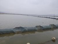 China Project Conditions Look No Further than Sediment Control Curtain and 600 1500mm Boom Diameter for Success for sale