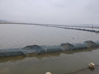 China Project Conditions Look No Further than Sediment Control Curtain and 600 1500mm Boom Diameter for Success for sale