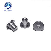 China Antibacterial Resistant Flat Head Rivet Nut Solid Stepped Pins High End Furniture Hardware for sale