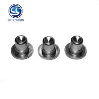 China Antibacterial Resistant Flat Head Rivet Nut Solid Stepped Pins High End Furniture Hardware for sale