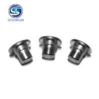 China Antibacterial Resistant Flat Head Rivet Nut Solid Stepped Pins High End Furniture Hardware for sale